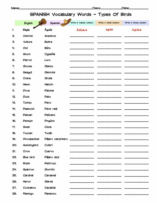 Spanish Types Of Birds Vocabulary Word List Column Worksheet | Made By ...