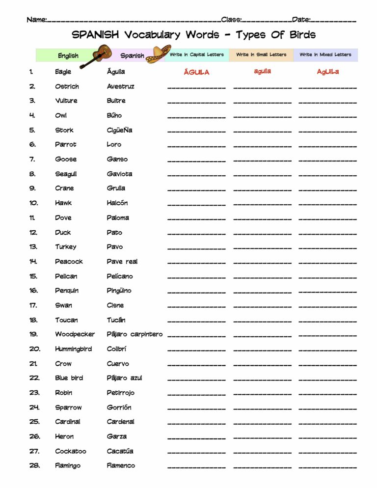 Spanish Types Of Birds Vocabulary Word List Column Worksheet | Made By ...