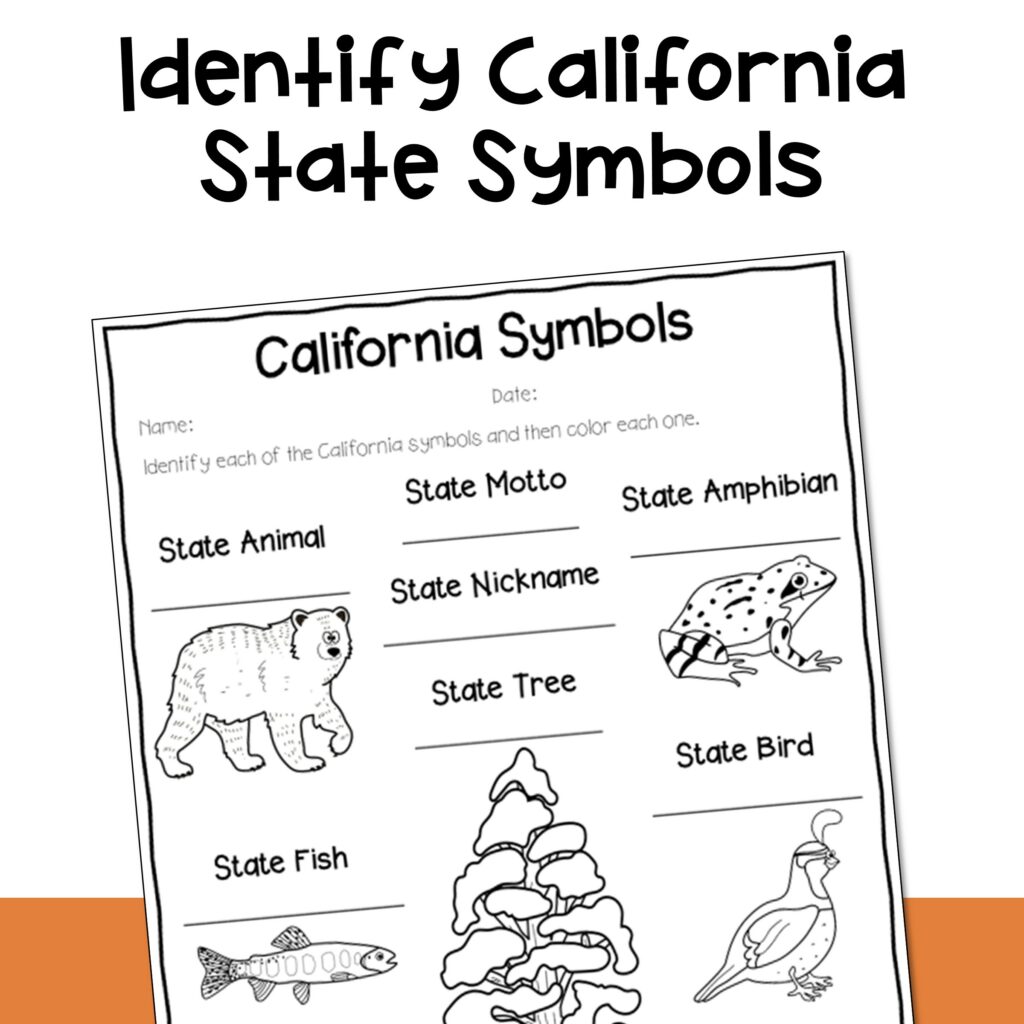 California Symbols Activity Poster | Made By Teachers