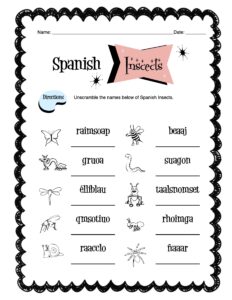 Spanish Insects Worksheet Packet | Made By Teachers