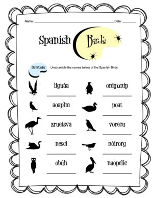 Spanish Birds Worksheet Packet | Made By Teachers