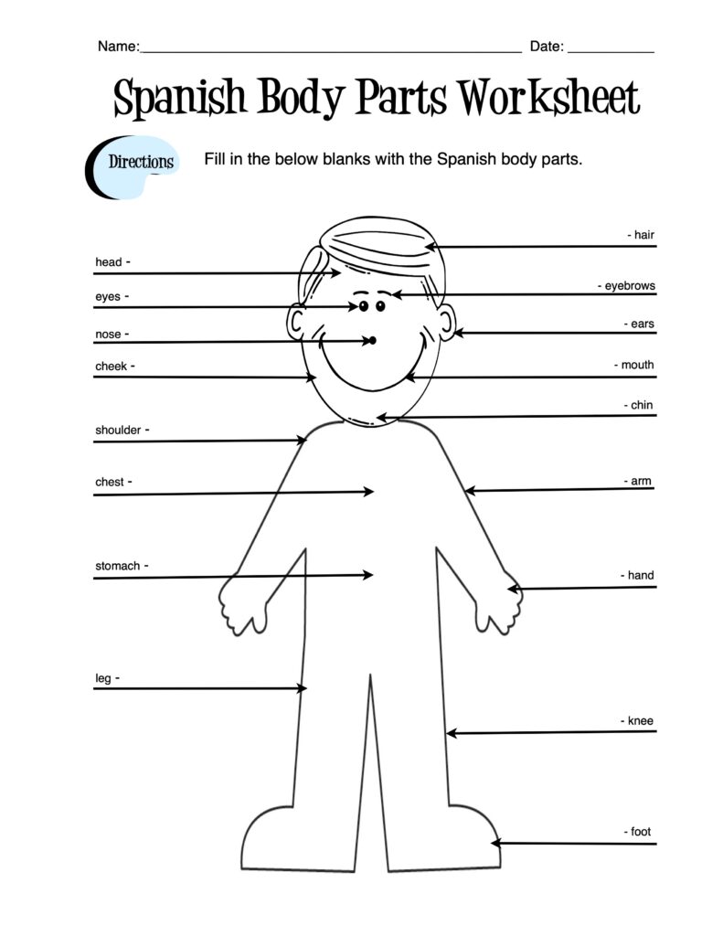 Spanish Body Parts Label Worksheet & Answer Key | Made By Teachers