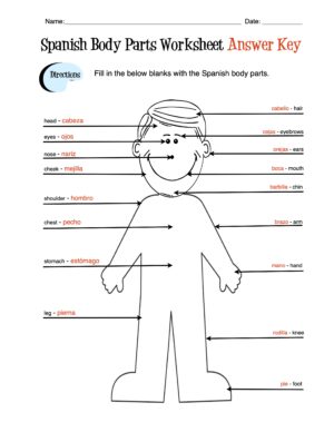 Spanish Body Parts Label Worksheet & Answer Key | Made By Teachers