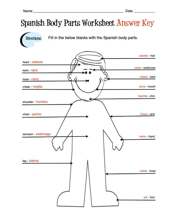 Spanish Body Parts Label Worksheet & Answer Key | Made By Teachers