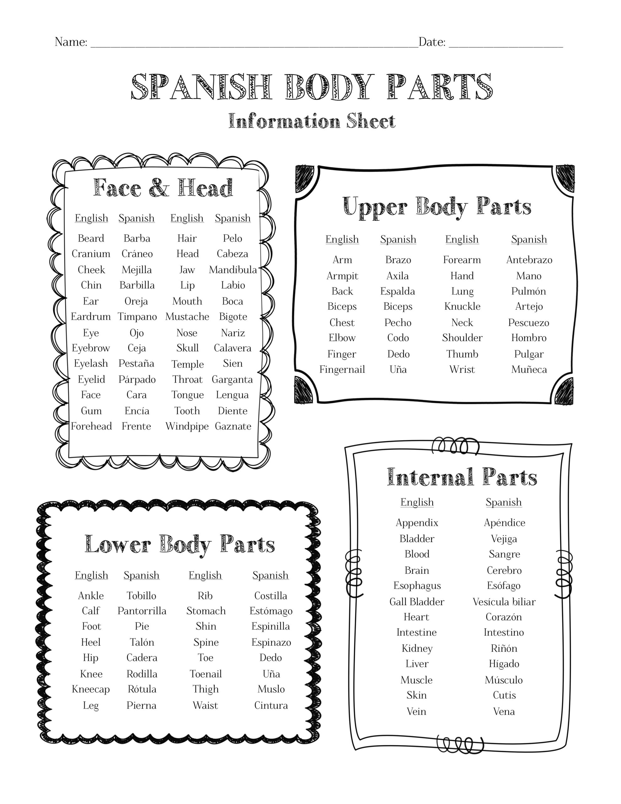 Spanish Body Parts Information Sheet Worksheet And Answer Key Made 