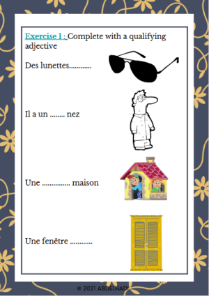 Les Adjectifs Qualificatifs - French Adjectives Lesson plan and ...
