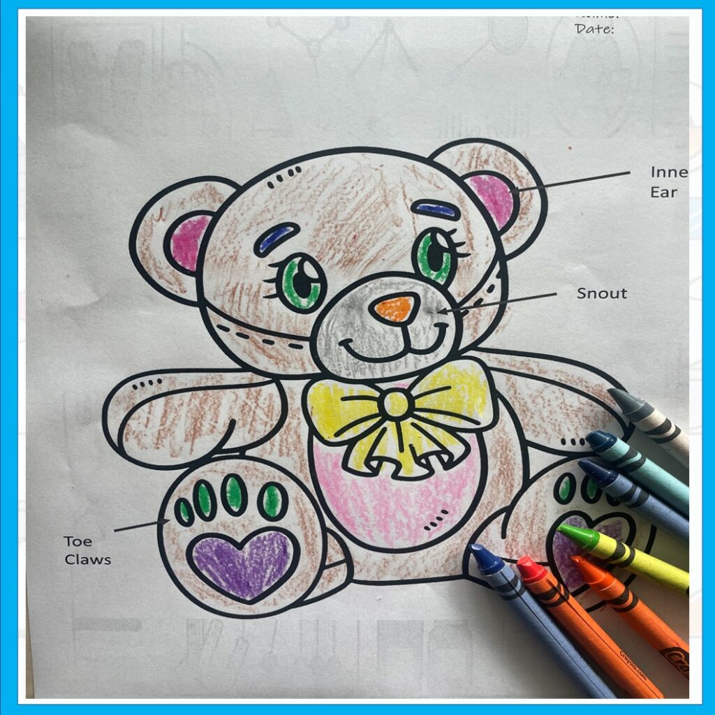 Valentine's Day Genetics | Made By Teachers