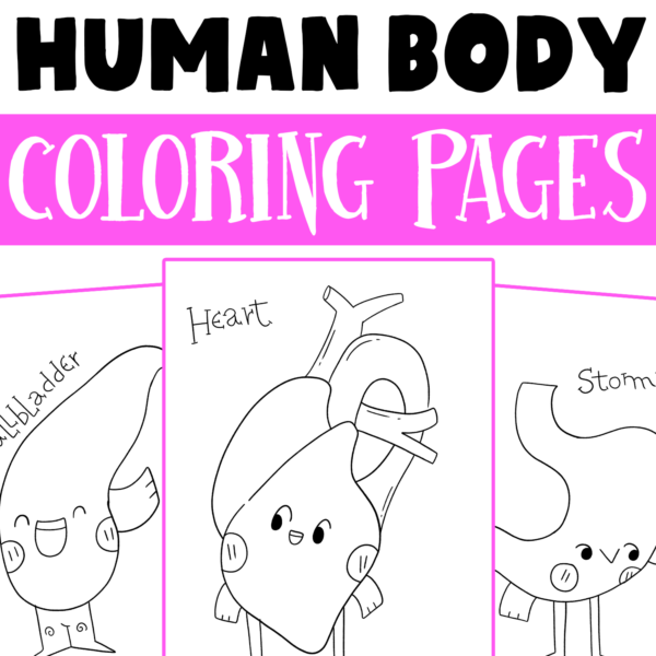 Human Body Systems Coloring Pages, Human Anatomy Coloring Sheets for ...