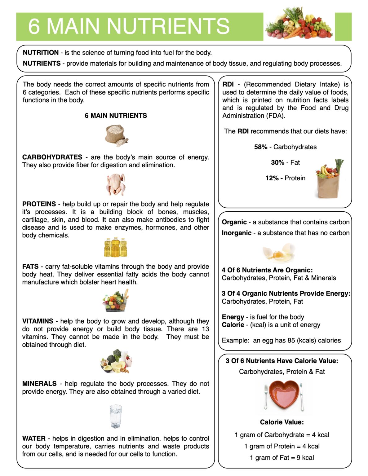 6 Main Nutrients Content Sheet Worksheet And Answer Key Made By Teachers