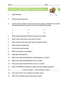 6 Main Nutrients Content Sheet, Worksheet and Answer Key | Made By Teachers
