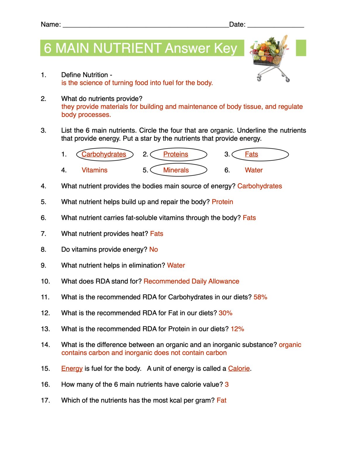 6 Main Nutrients Content Sheet, Worksheet and Answer Key | Made By Teachers