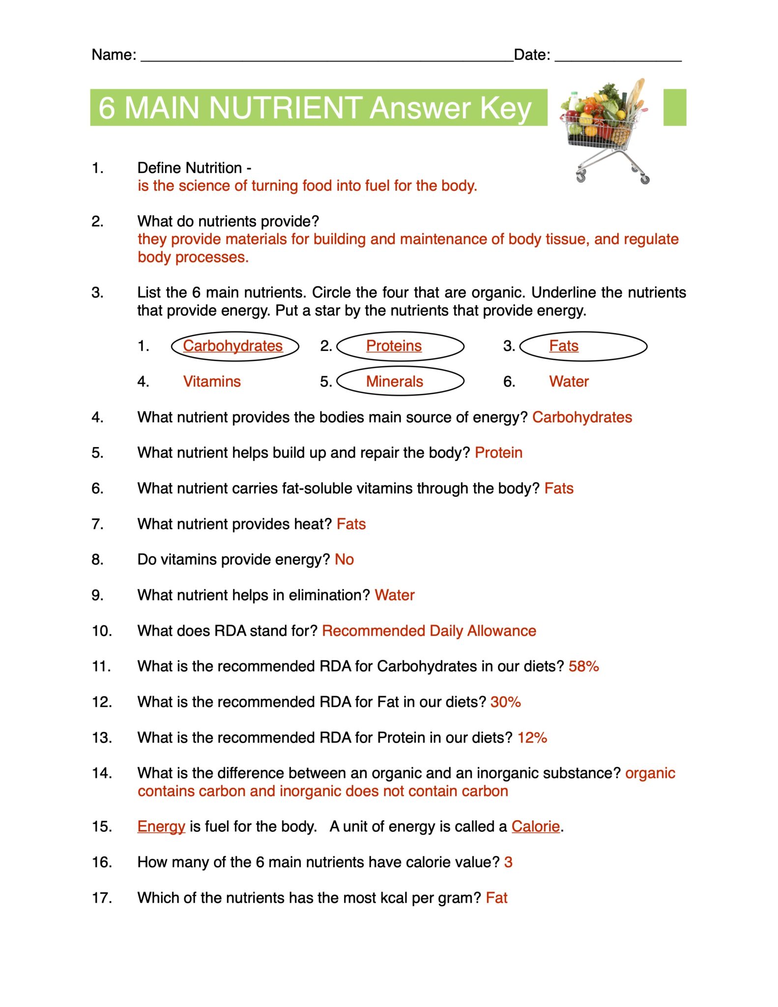6 Main Nutrients Content Sheet, Worksheet and Answer Key | Made By Teachers