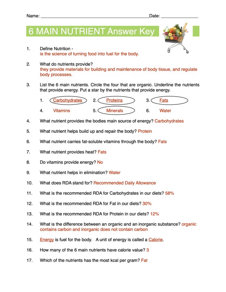 6 Main Nutrients Content Sheet, Worksheet and Answer Key | Made By Teachers