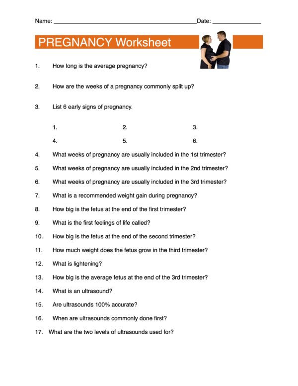 Pregnancy Content Sheet, Worksheet And Answer Key | Made By Teachers
