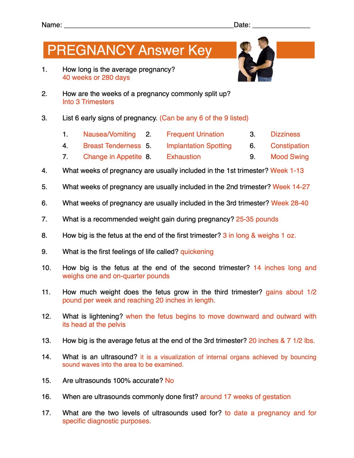 Pregnancy Content Sheet, Worksheet And Answer Key | Made By Teachers
