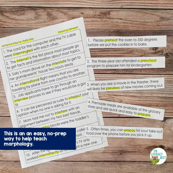 Morphology Sentences for Prefixes, Suffixes, Roots, Greek Forms | Made ...