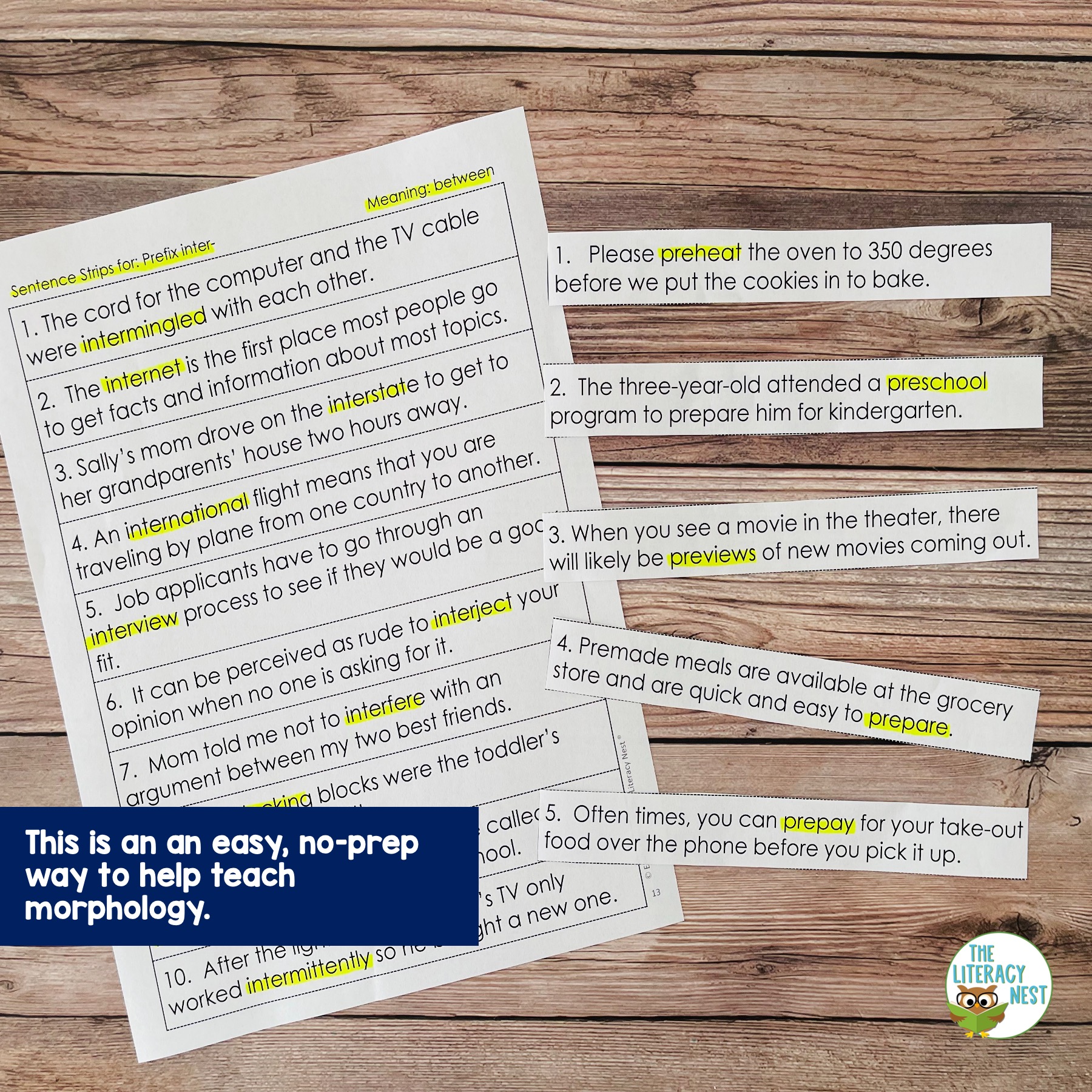 Morphology Sentences for Prefixes, Suffixes, Roots, Greek Forms | Made ...