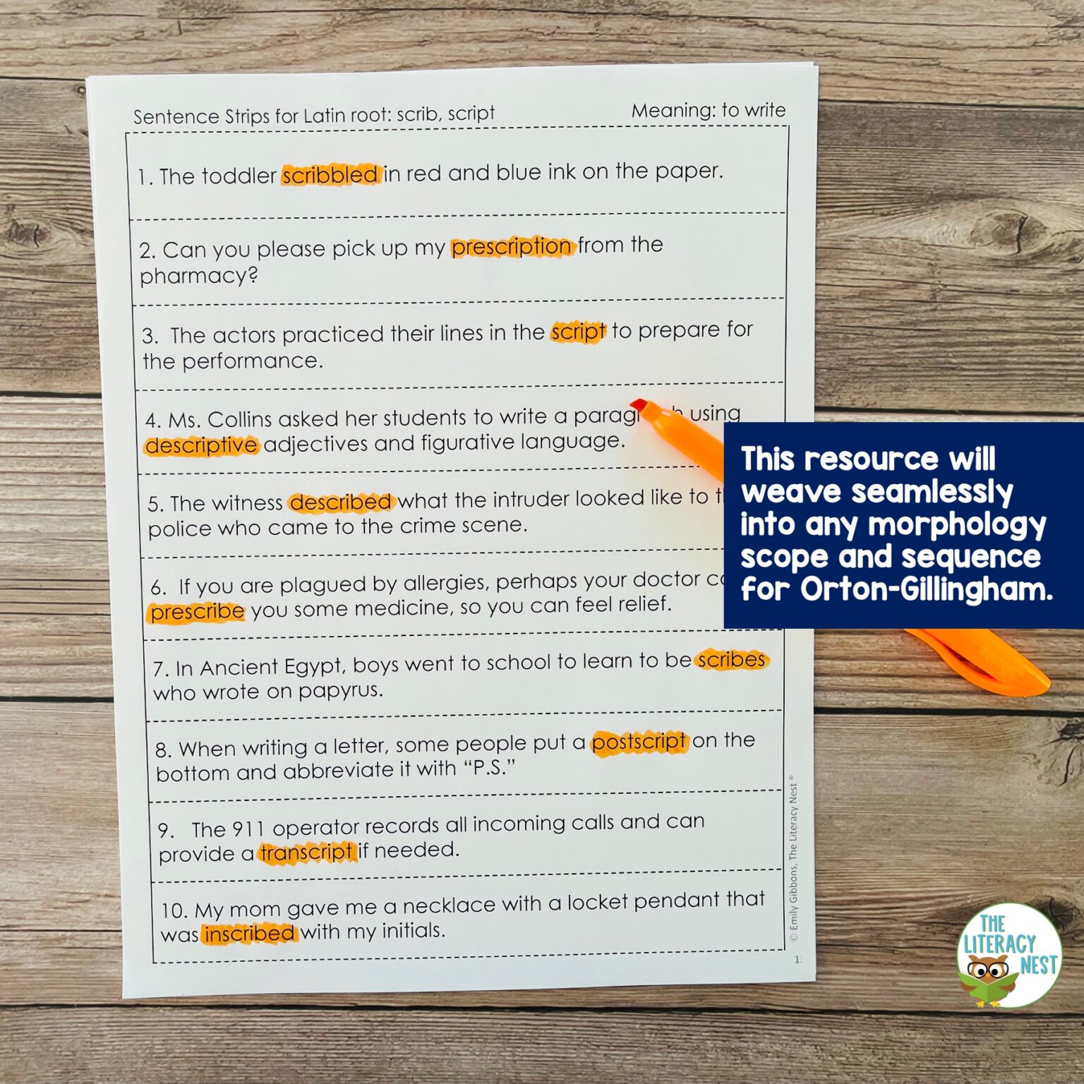 Morphology Sentences for Prefixes, Suffixes, Roots, Greek Forms | Made ...