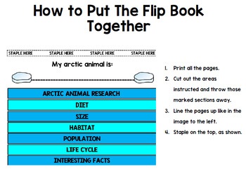Arctic Animals Research - Interactive Notebook - Special Education ...