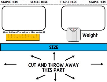 Arctic Animals Research - Interactive Notebook - Special Education ...