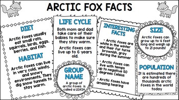 Arctic Animals Research - Special Education - Life Skills - Reading ...