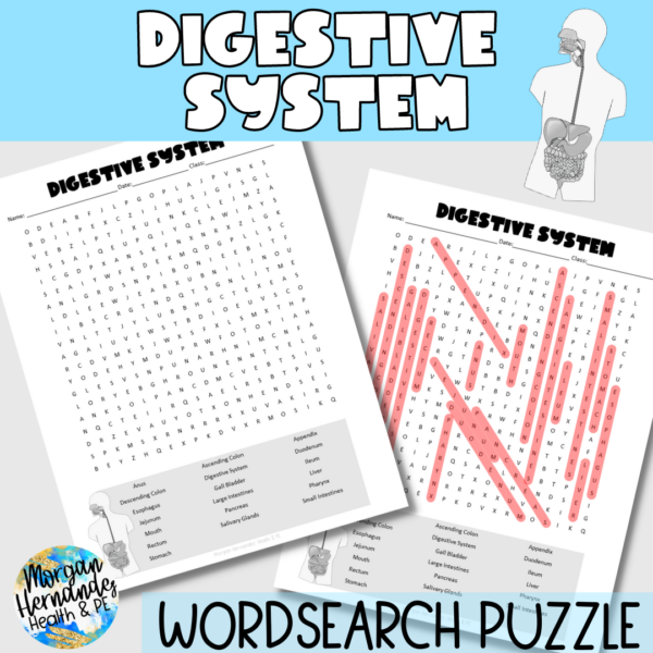 Digestive System Word Search Puzzle | Made By Teachers