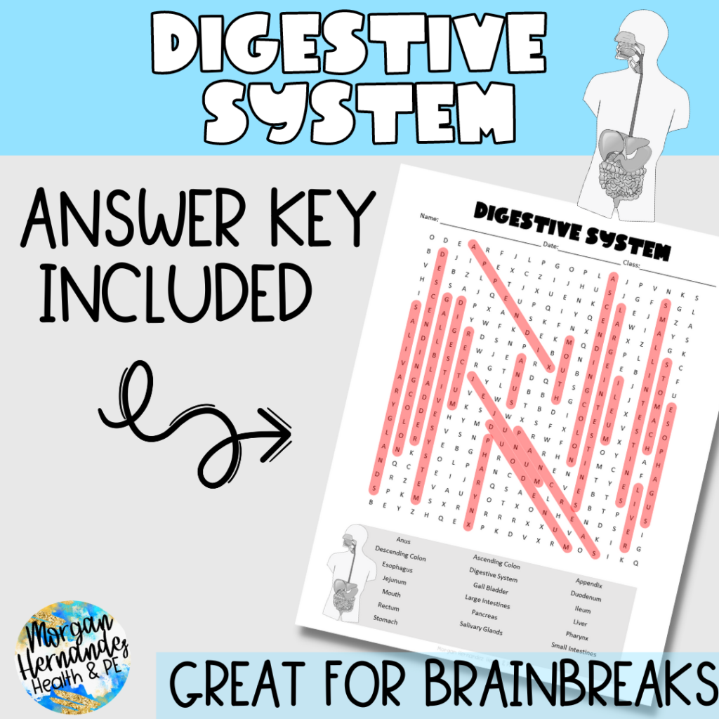 Digestive System Word Search Puzzle | Made By Teachers