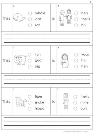 Building Sentences Set III - Possessive pronouns | Made By Teachers