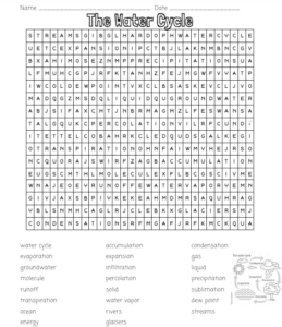 The Water Cycle Word Search | Made By Teachers
