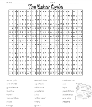 The Water Cycle Word Search | Made By Teachers