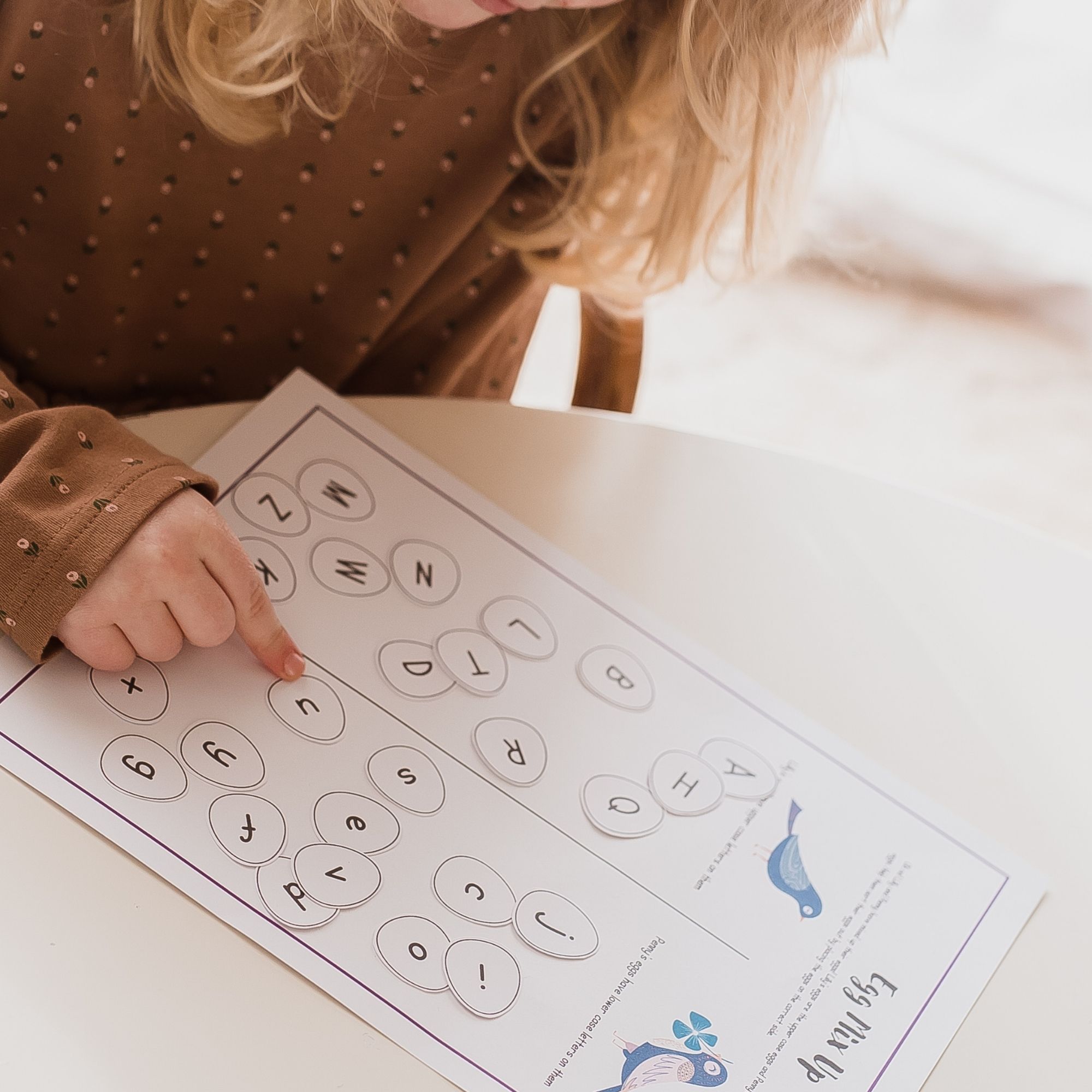 Alphabet Upper and Lower Case Letters Montessori Sorting Activity - Egg ...