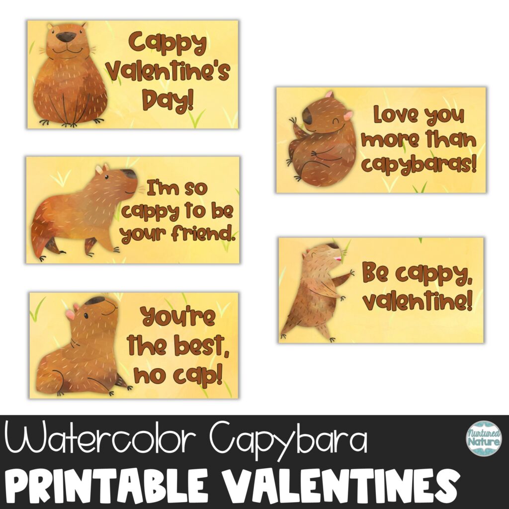 Capybara Valentine’s Day Printable Cards for Kids | Made By Teachers