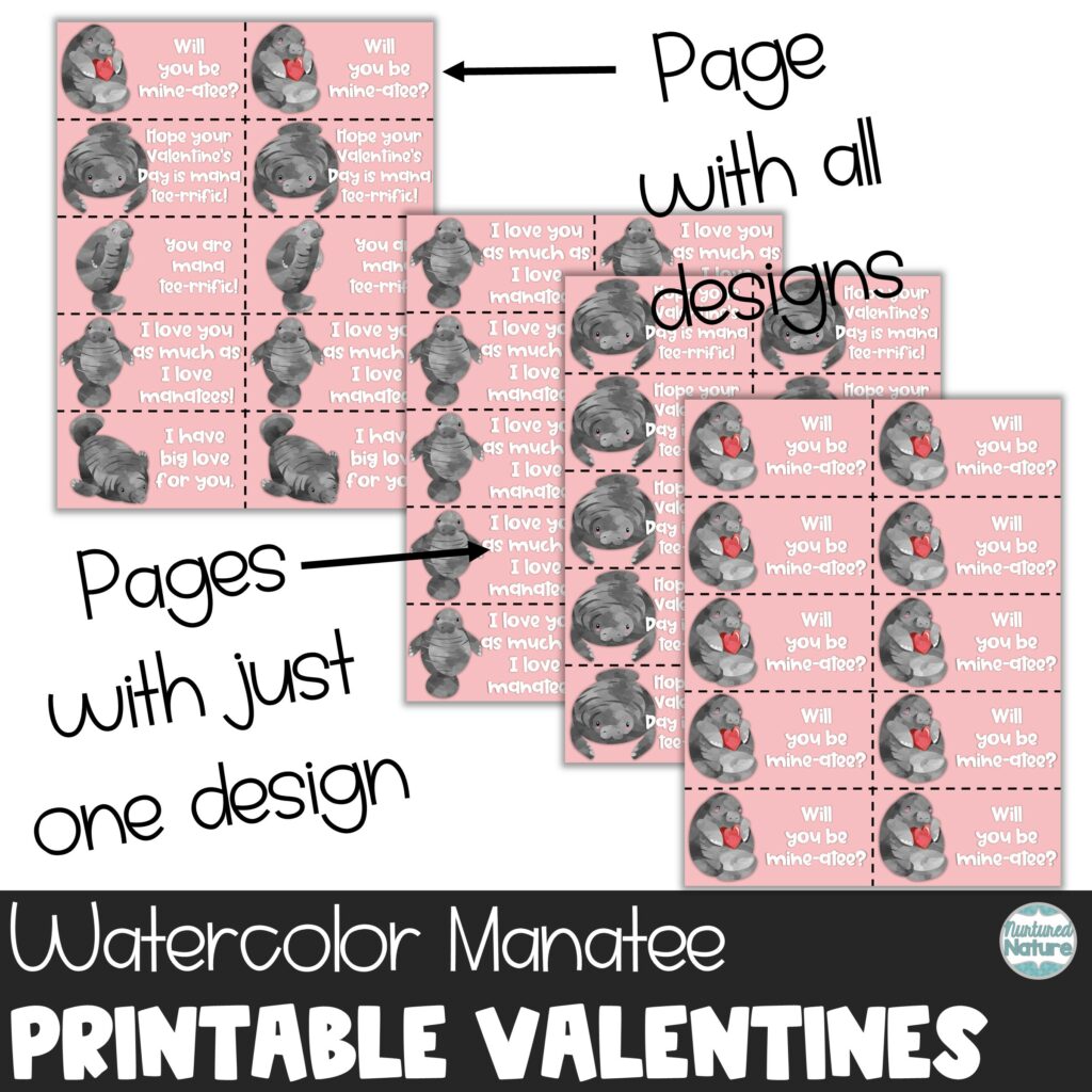Manatee Valentine’s Day Printable Cards for Kids | Made By Teachers