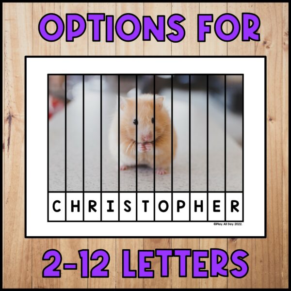 EDITABLE Name Puzzles | Name Practice Activities | Made By Teachers