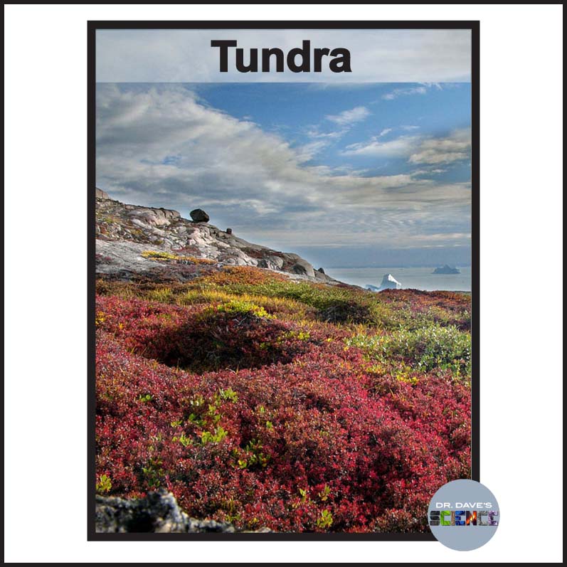 Biome and Ecology Environmental Posters | Made By Teachers