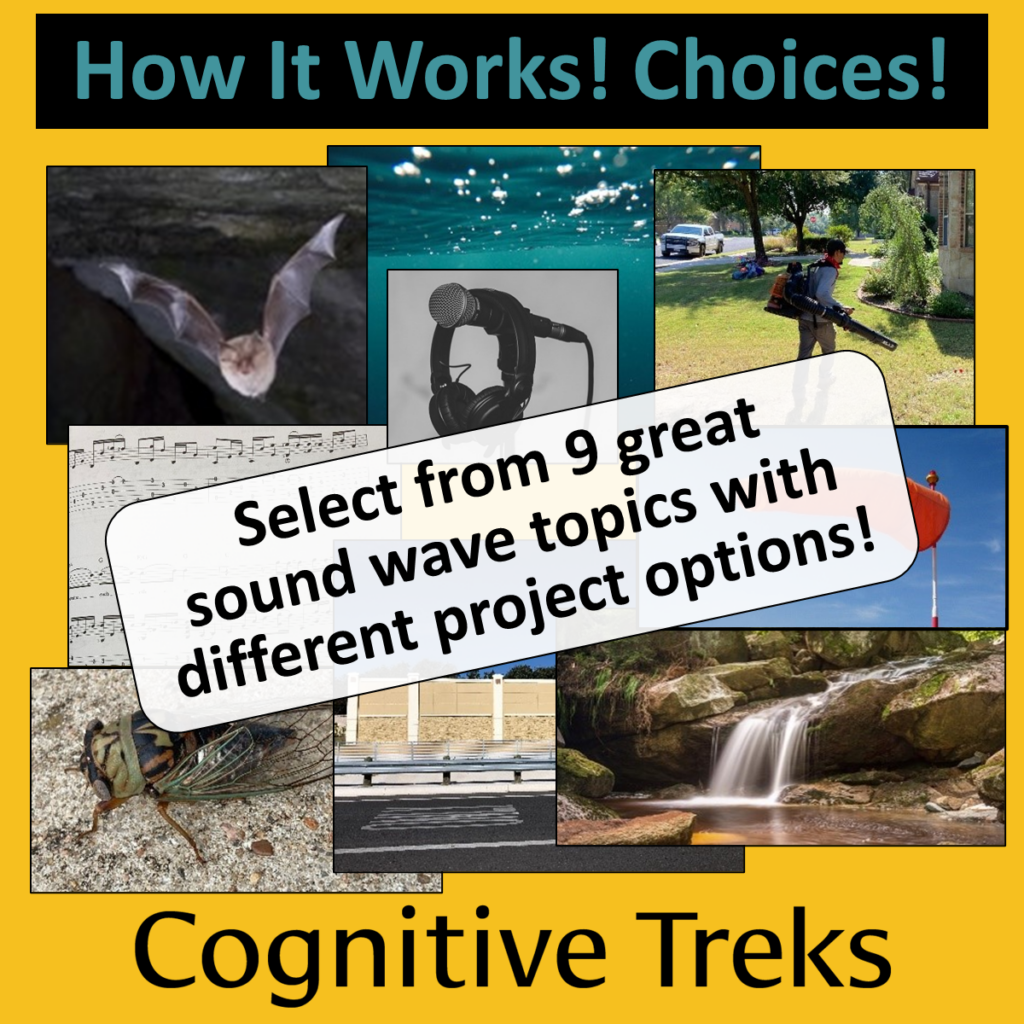 Sound Waves Choice Menu Project | Properties & Types of Sound | Energy ...