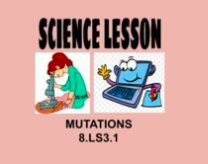 8th Science Lesson Mutations OAS 8.LS3.1 NGSS MS-LS3-1 | Made By Teachers