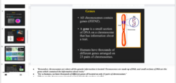 8th Science Lesson Asexual & Sexual Reproduction OAS 8.LS3.2 NGSS MS ...