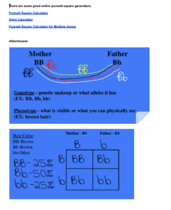 8th Science Lesson Asexual & Sexual Reproduction OAS 8.LS3.2 NGSS MS ...