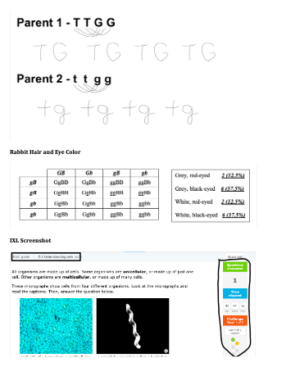 8th Science Lesson Asexual & Sexual Reproduction OAS 8.LS3.2 NGSS MS ...