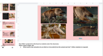 8th Science Lesson Fossil Record OAS 8.LS4.1 NGSS MS-LS4-1 | Made By ...