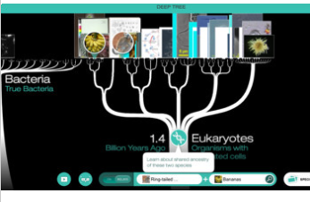 8th Science Lesson Patterns of Similarity OAS 8.LS4.3 NGSS MS-LS4-3 ...