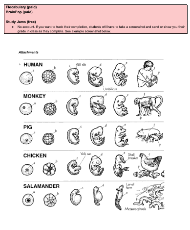 8th Science Lesson Patterns of Similarity OAS 8.LS4.3 NGSS MS-LS4-3 ...