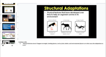 8th Science Lesson Natural Selection OAS 8.LS4.4 NGSS MS-LS4-4 | Made ...