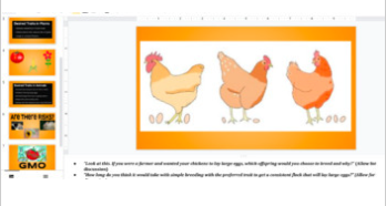 8th Science Lesson Artificial Selection OAS 8.LS4.5 NGSS MS-LS4-5 ...