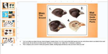 8th Life Science Lesson Plans Bundle OAS NGSS | Made By Teachers