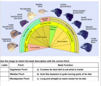 8th Life Science Lesson Plans Bundle OAS NGSS | Made By Teachers