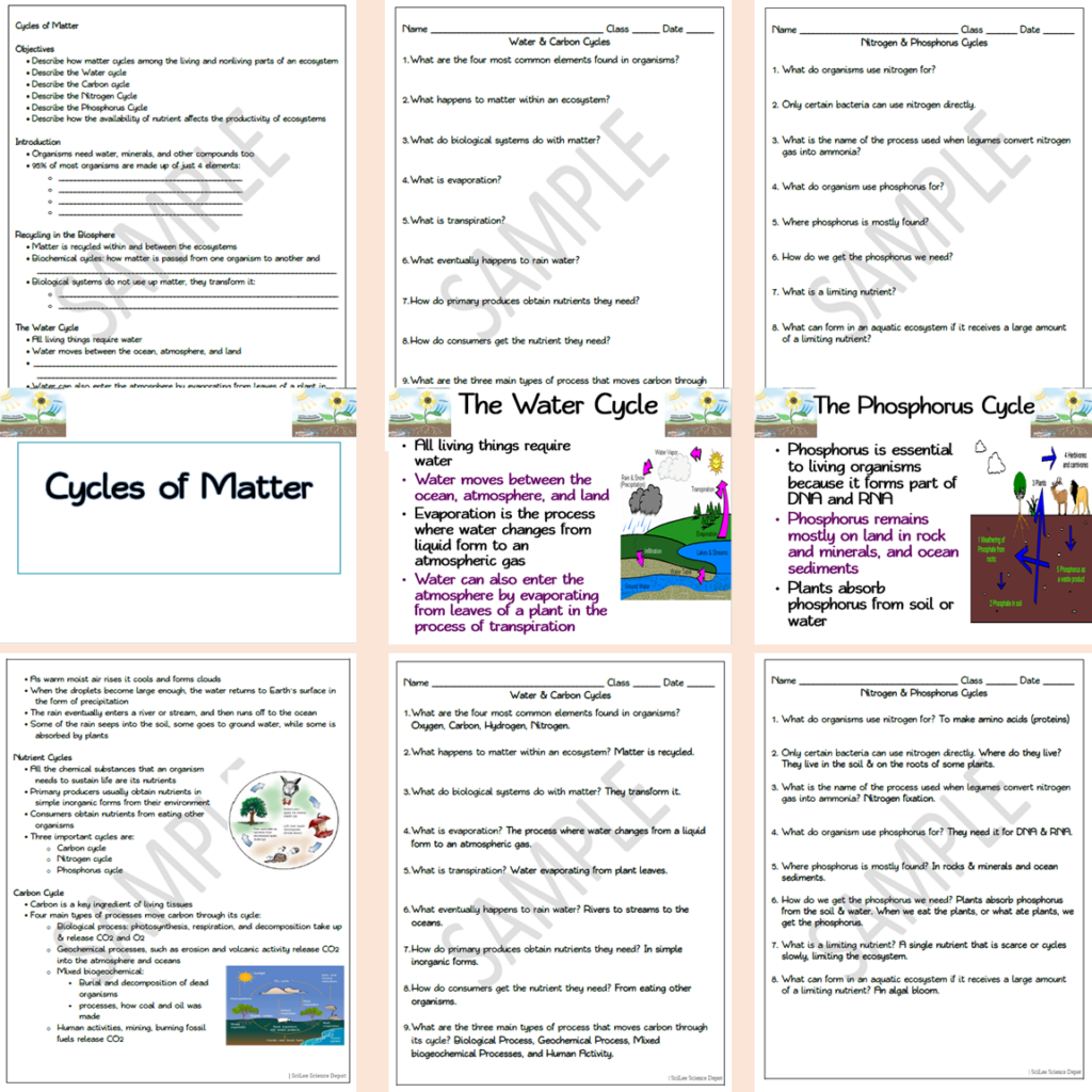 Cycles of Matter: PowerPoint, Notes, and Worksheets | Made By Teachers