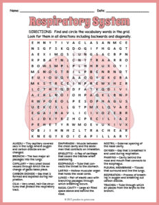 RESPIRATORY SYSTEM Word Search Puzzle Worksheet Activity | Made By Teachers