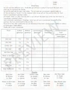 St. Patrick's Day Genetic Activities | Made By Teachers